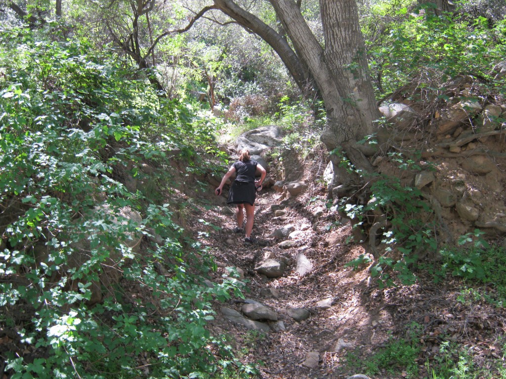 Visualize Your Success - See It, Believe It, Do It! - Carilyn Johnson