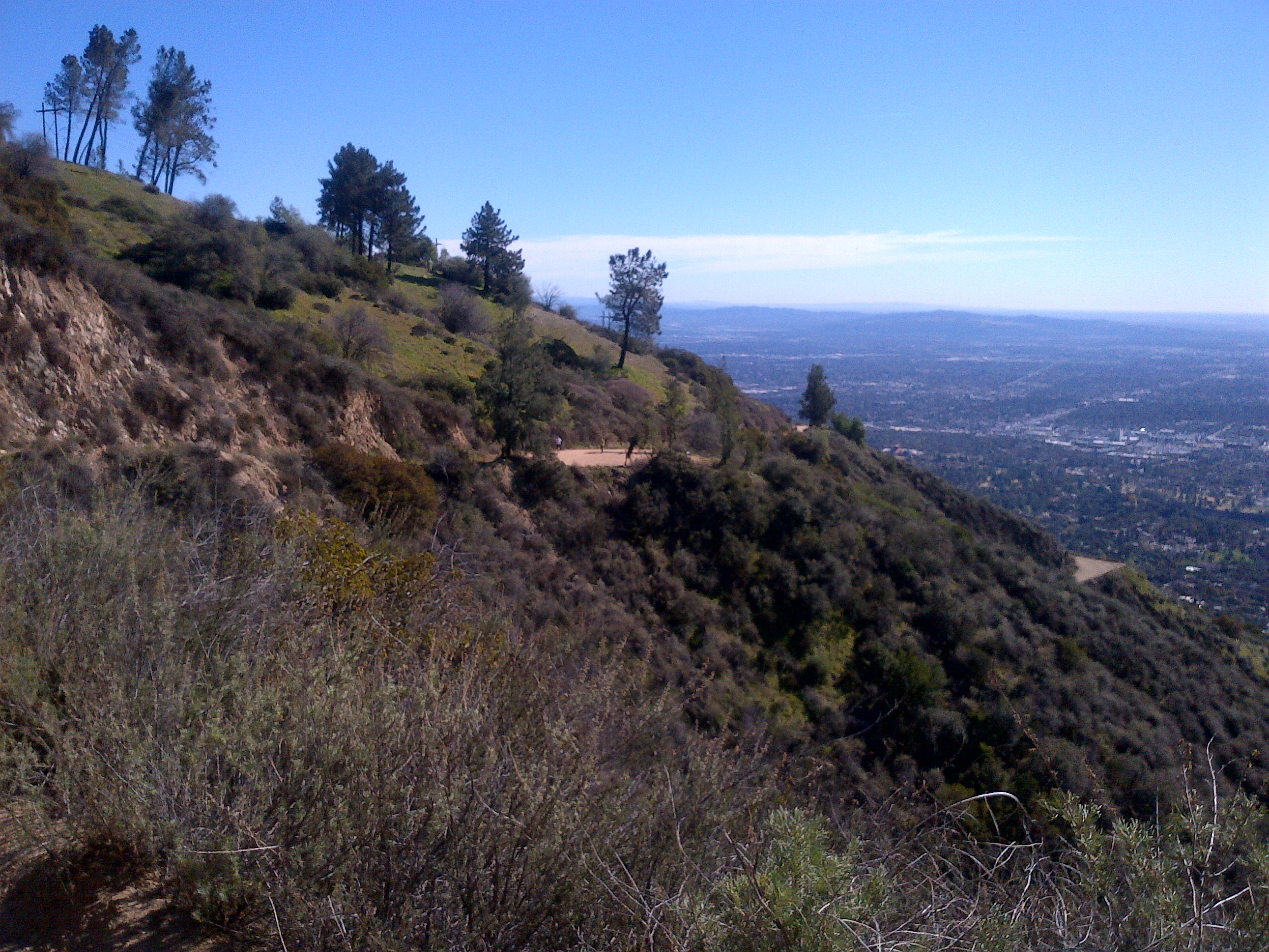 Trails, Bells and Something Else That Doesn't Rhyme - Carilyn Johnson