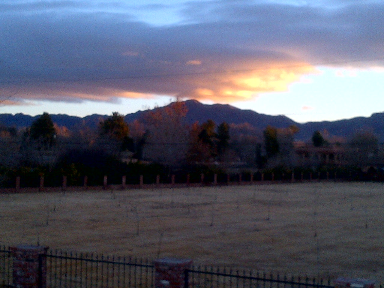 Can You Hallucinate When You Only Run 10 Miles? - Carilyn Johnson