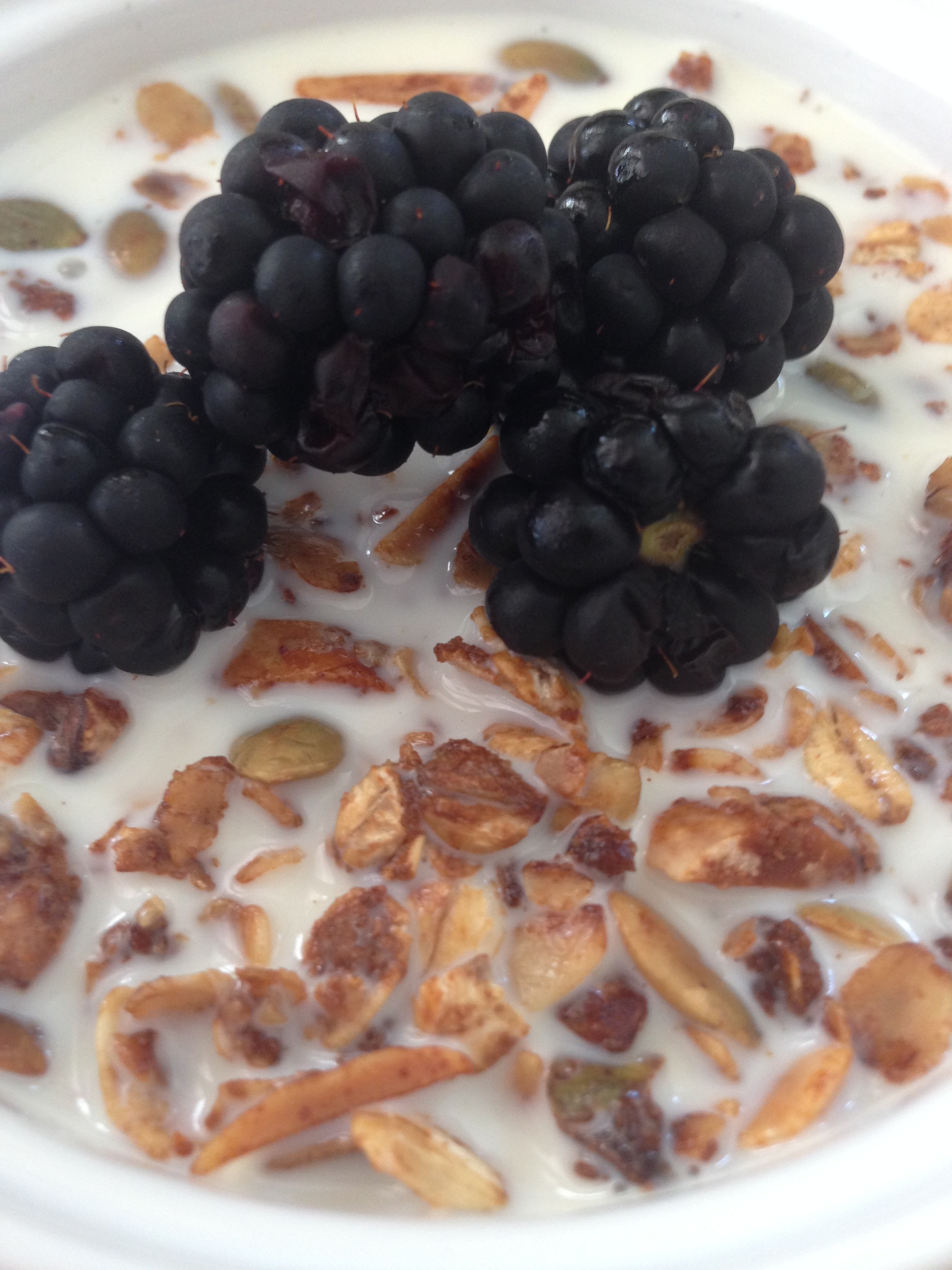 Before Hip Wasn't Hip (or: Granola Is For Cool Kids) - Carilyn Johnson